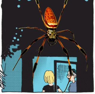 The Joy of Sets | Son of Stuck Funky